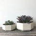 Octagon Succulent Planter Ceramic Porcelain Planter Modern - Etsy