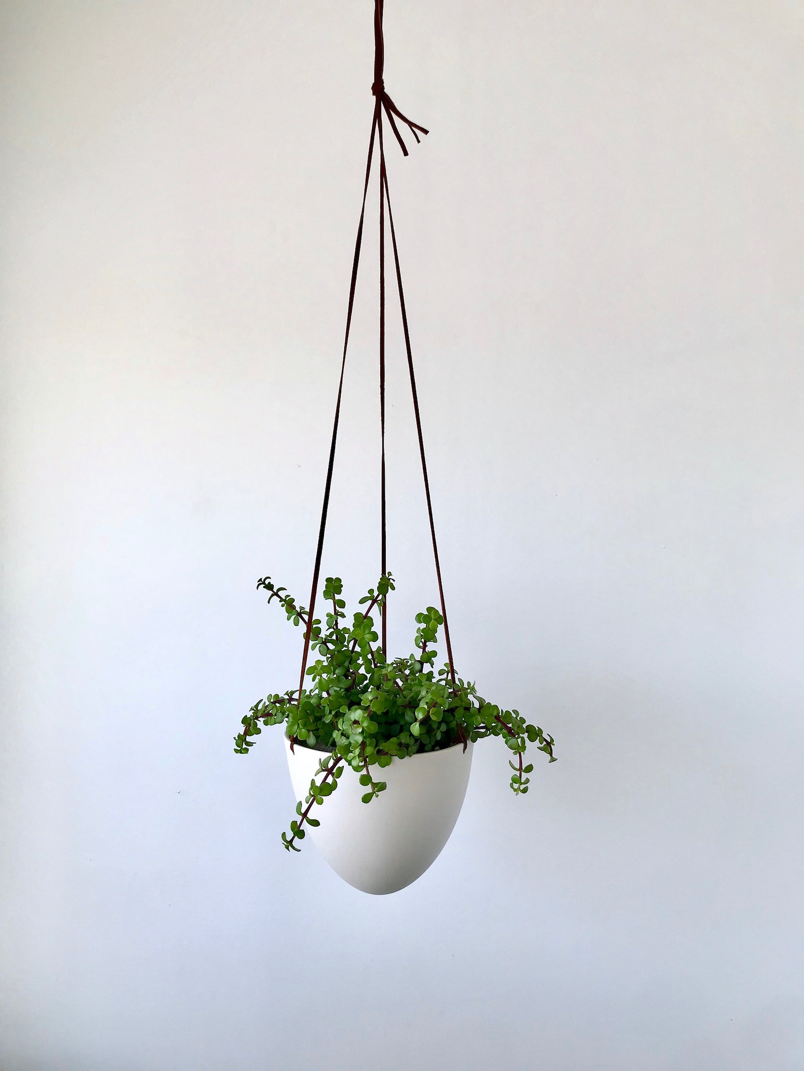 Large Hanging Bullet Planter, Ceramic Porcelain Hanging Planter, White ...