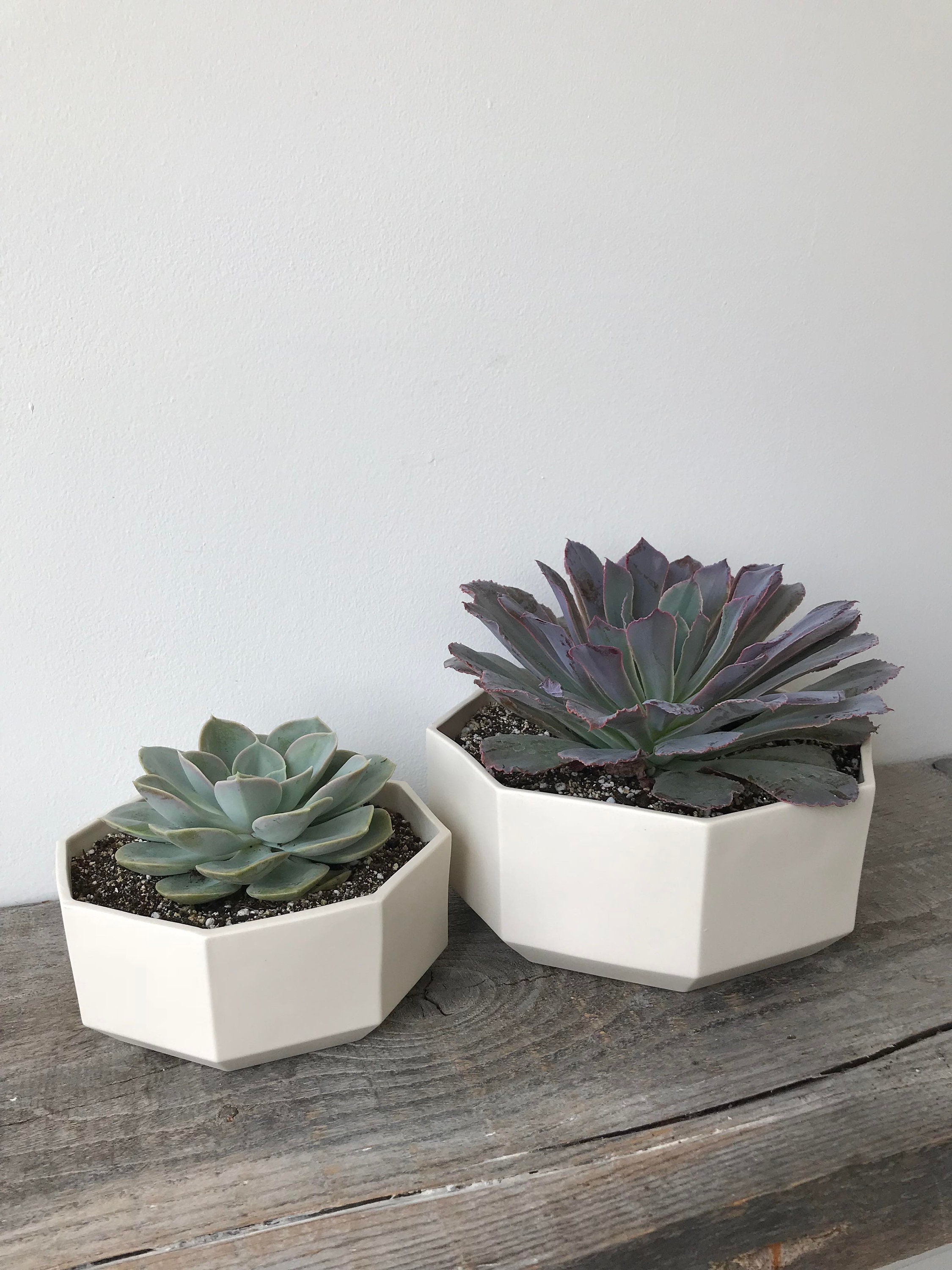 Octagon Succulent Planter Ceramic Porcelain Planter Modern | Etsy