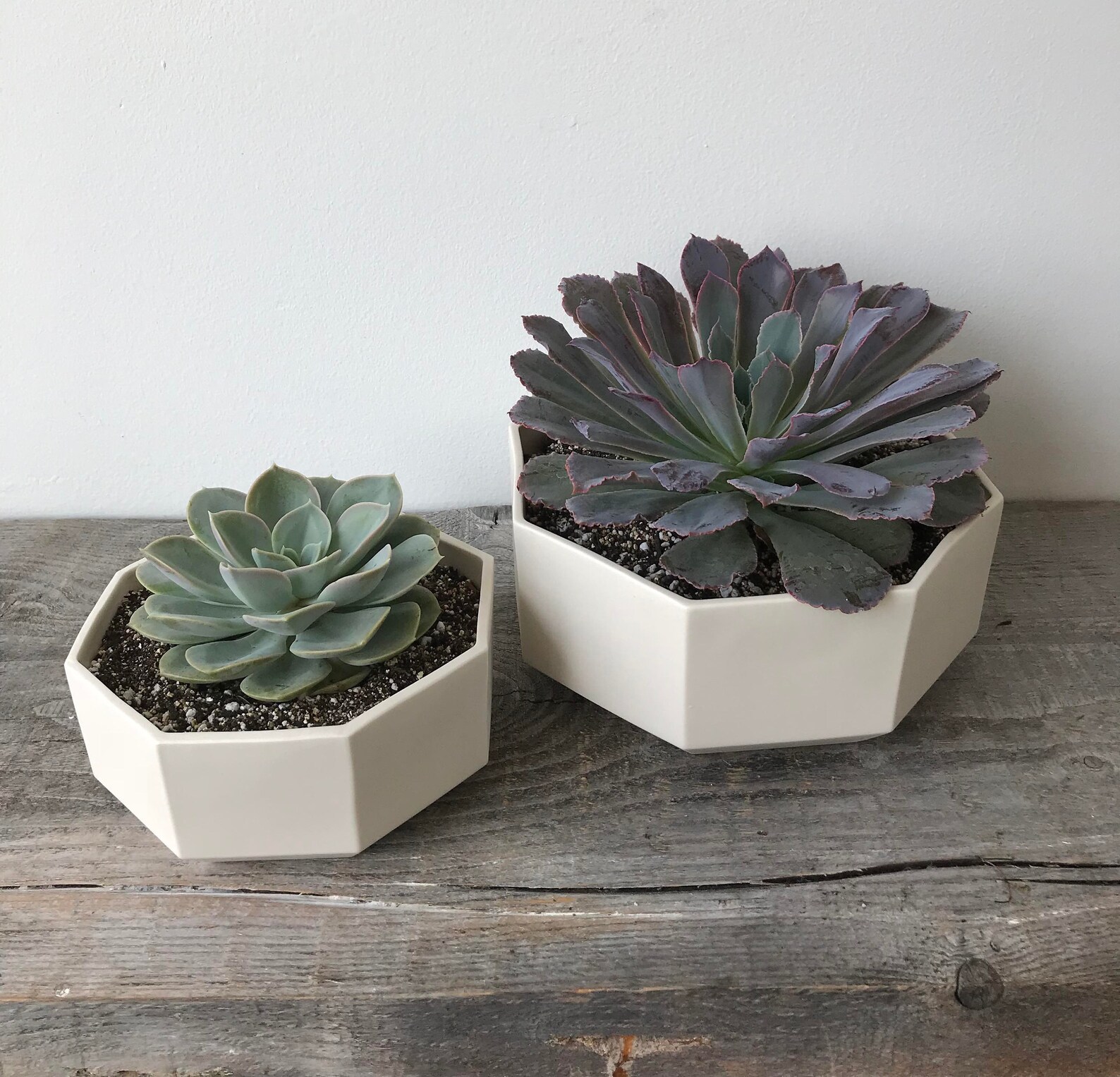 Octagon Succulent Planter Ceramic Porcelain Planter Modern | Etsy
