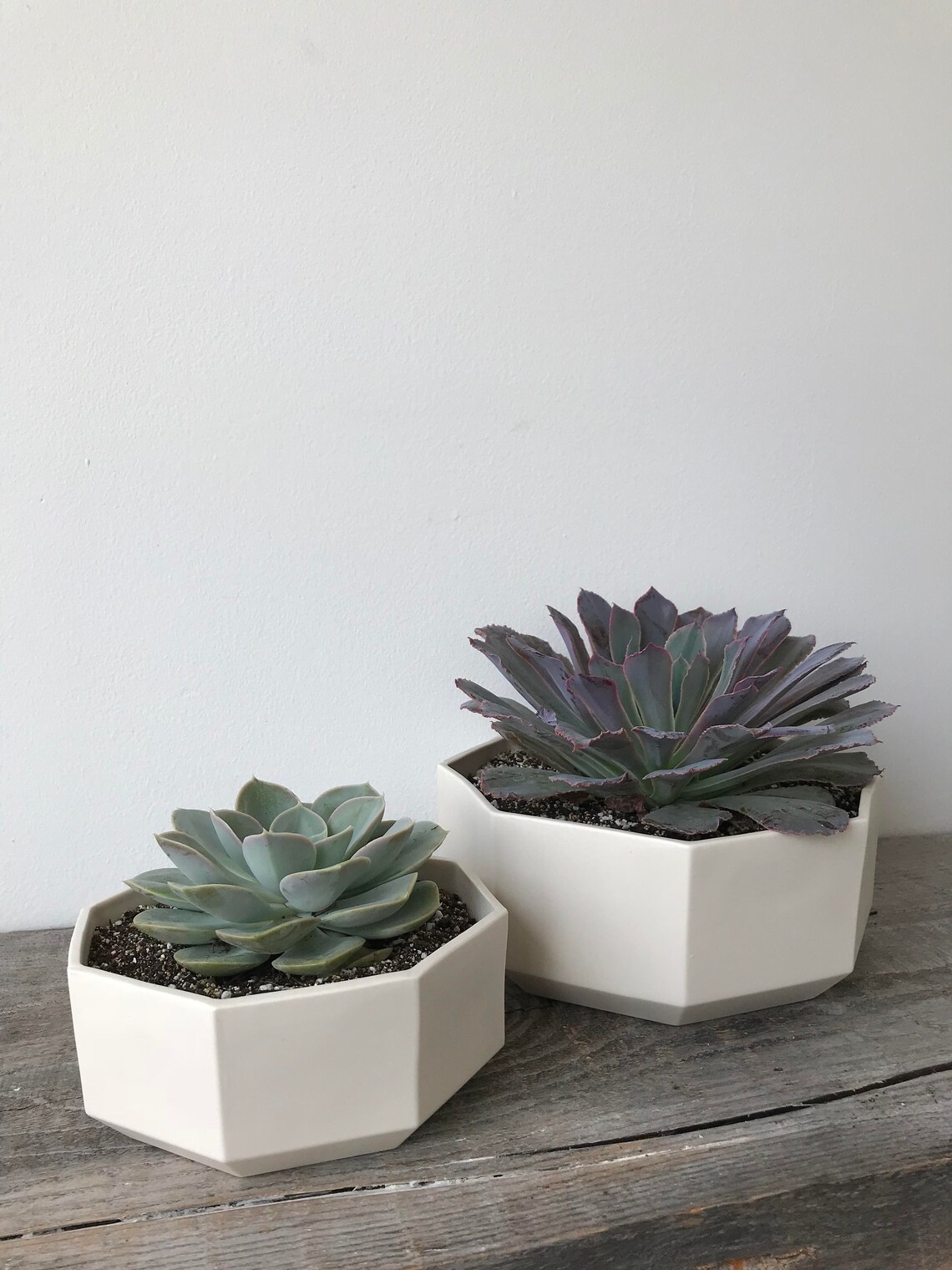 Octagon Succulent Planter Ceramic Porcelain Planter Modern | Etsy