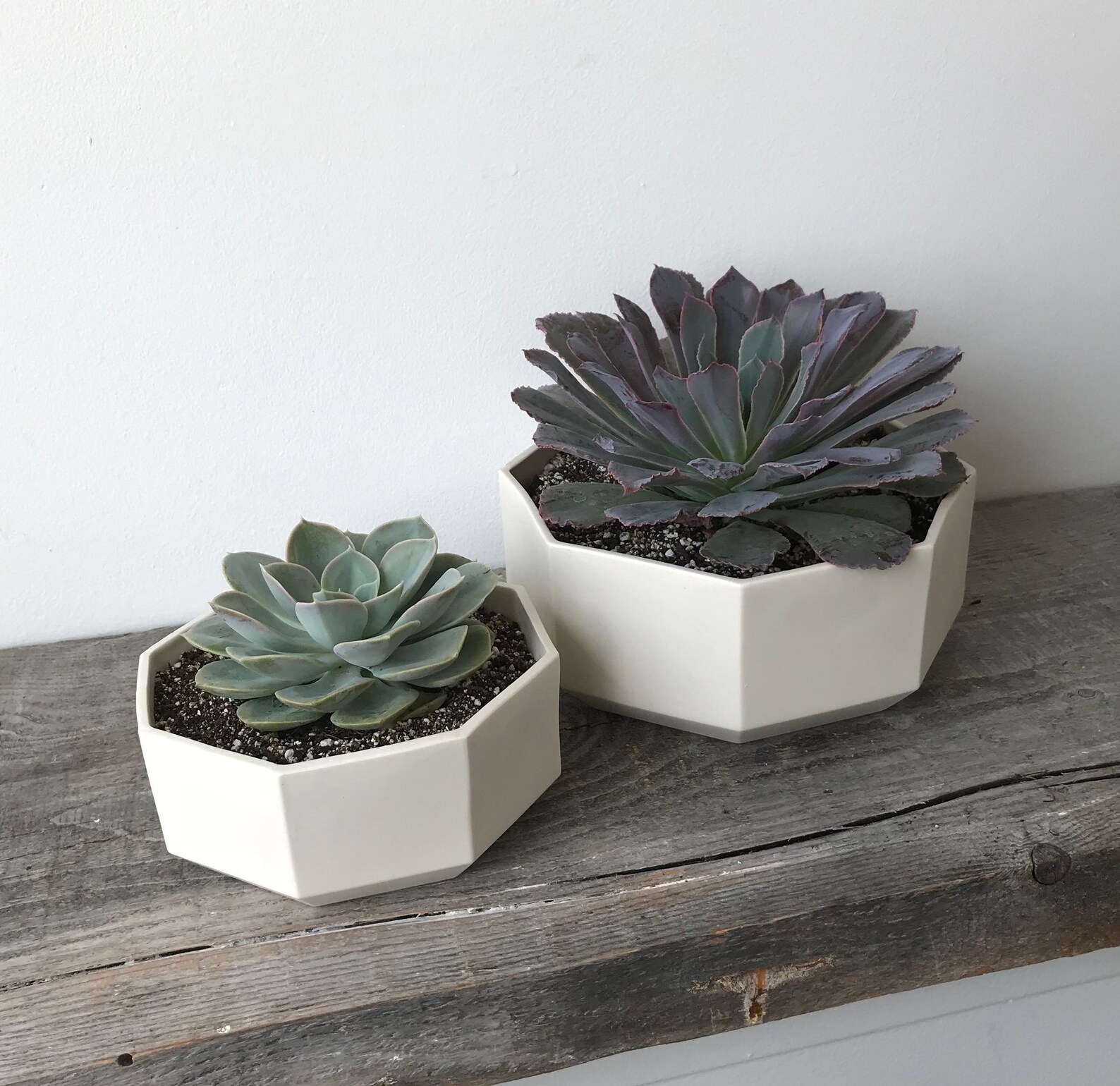 Octagon Succulent Planter Ceramic Porcelain Planter Modern | Etsy