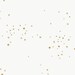 RJR Cotton + Steel BASICS Freckles Cloud White (METALLIC) - Etsy
