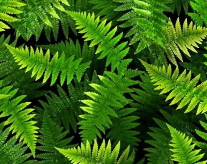 Quilting Treasures OPEN AIR Ferns Spring Green - Etsy