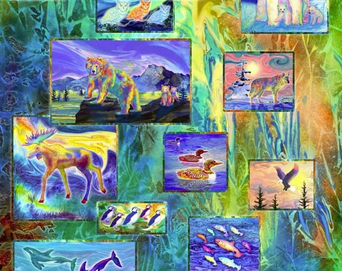 Wild and Beautiful Buffalo Panel, Bison Fabric, Native American, Cotton ...