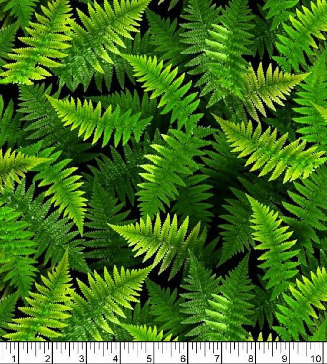 Quilting Treasures OPEN AIR Ferns Spring Green - Etsy