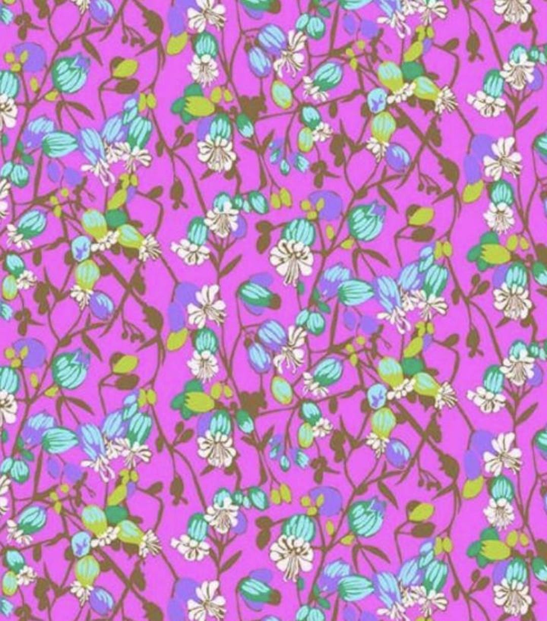 Northcott Fabrics Anna Maria Textiles JUMPSTART Silene Fuchsia - Etsy