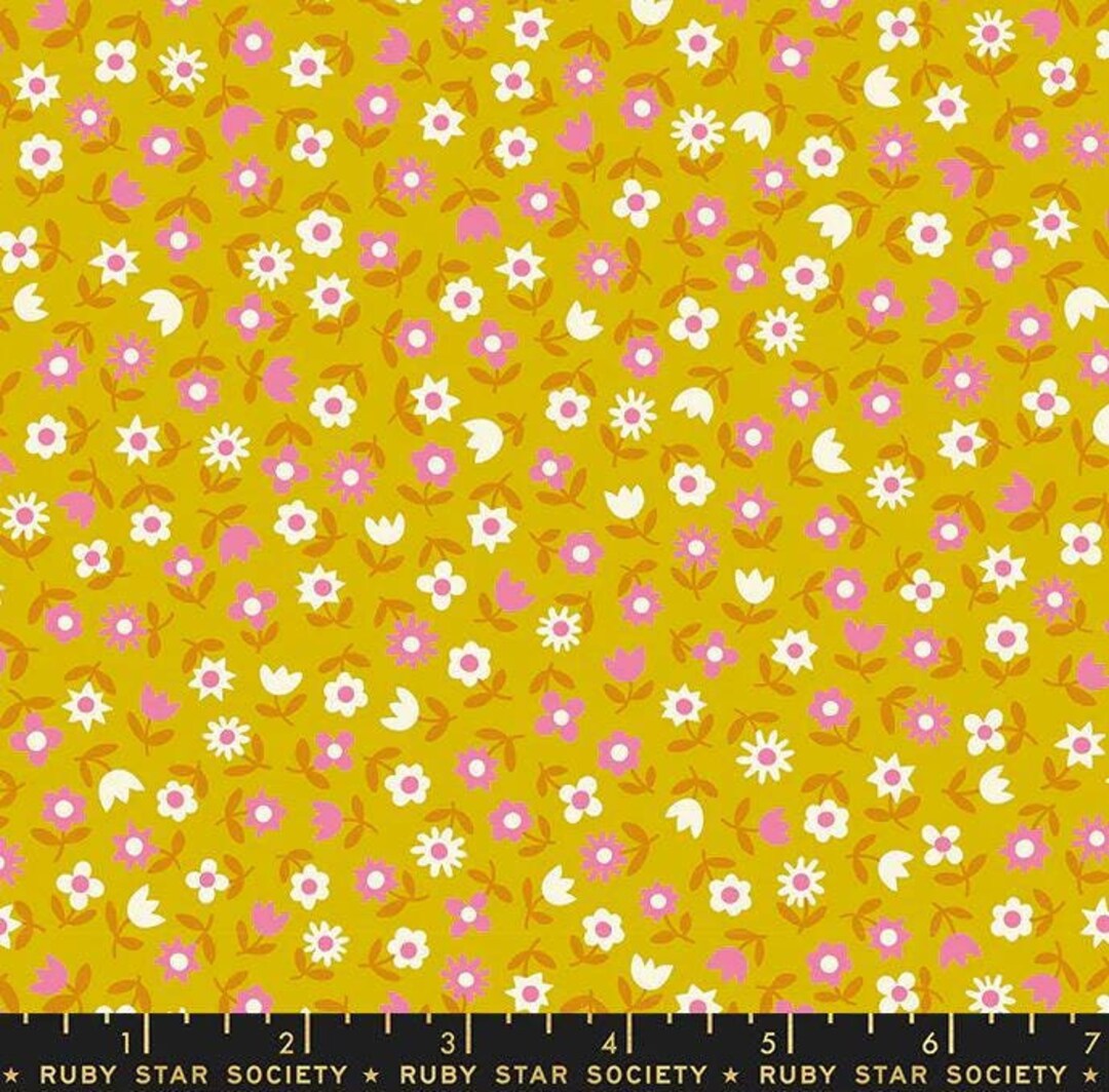 Moda Ruby Star Society PICTURE BOOK by Kimberly Kight Retro Ditsy ...