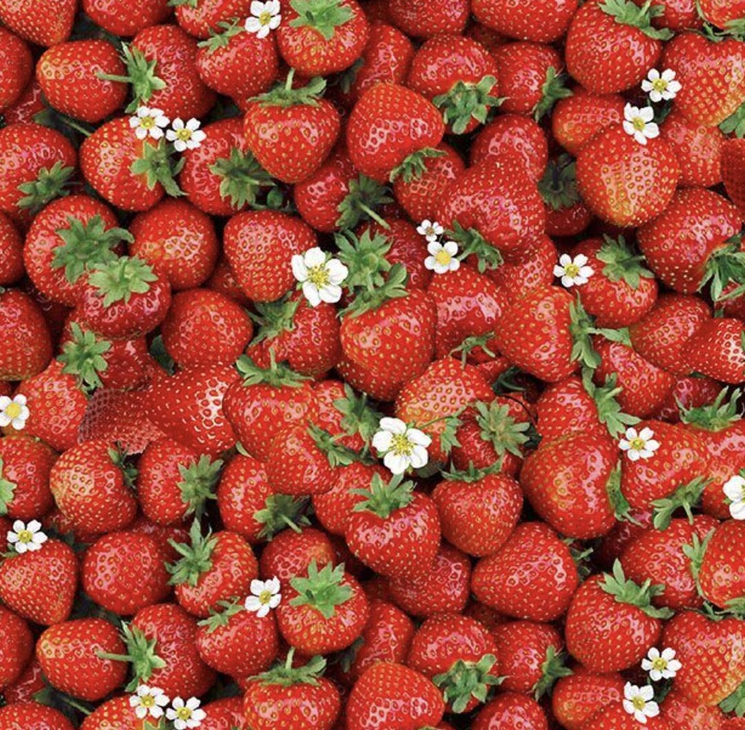Timeless Treasures BERRY SWEET Packed Sweet Strawberries Red - Etsy