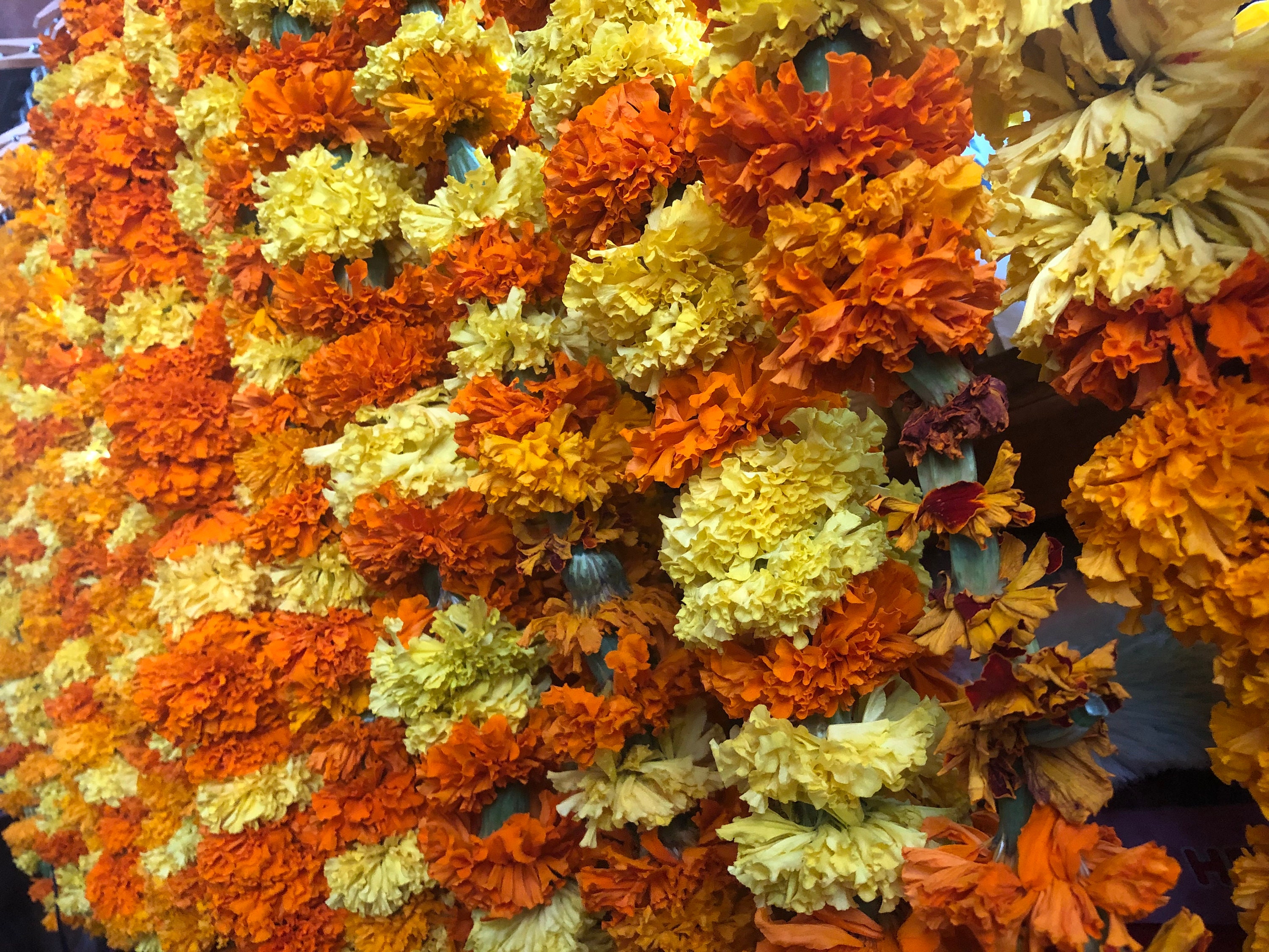Marigold Garlands DRIED Real Flowers Real Dried Flower Garland - Etsy