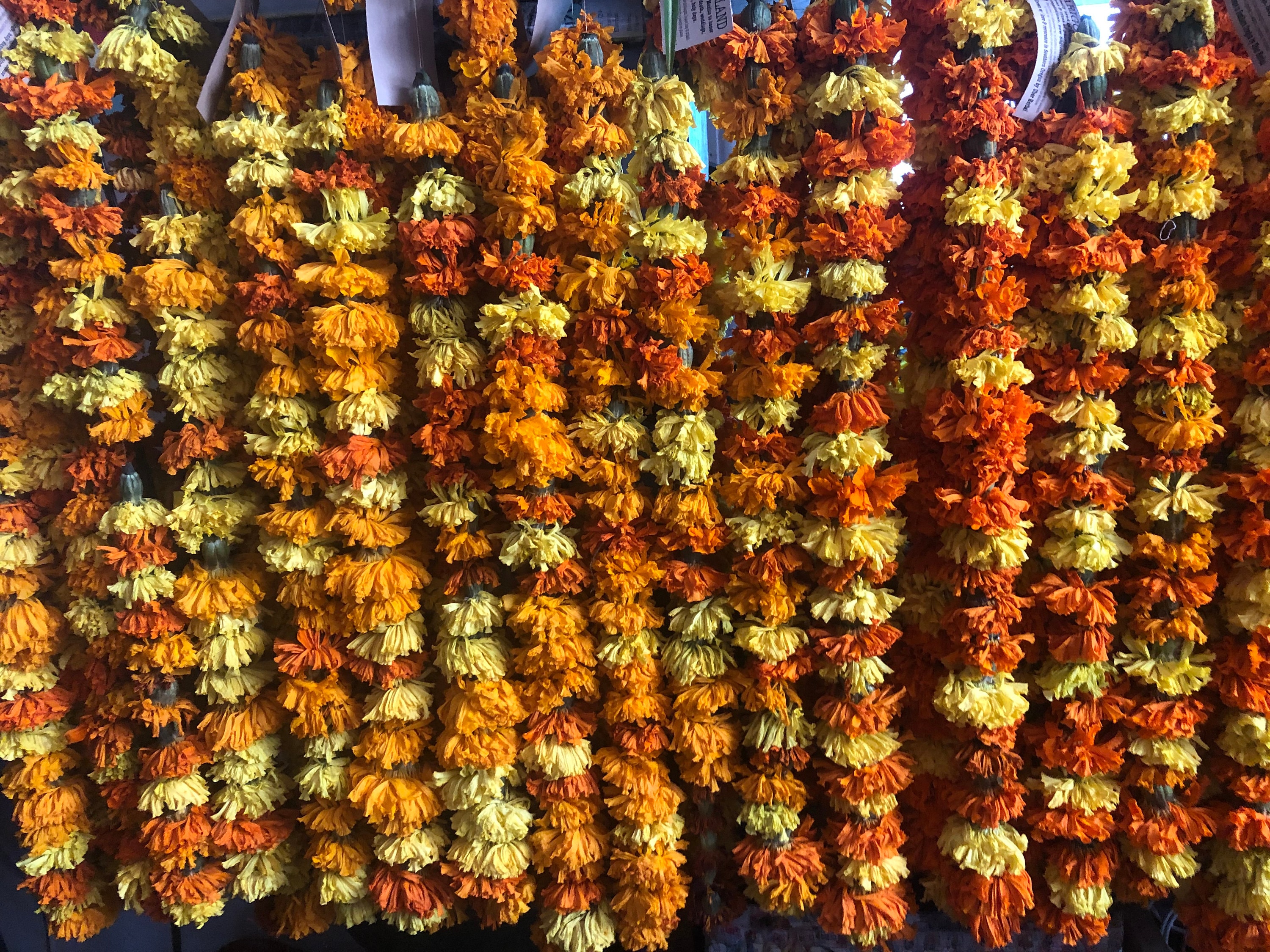 Marigold Garlands DRIED Real Flowers Real Dried Flower Garland - Etsy