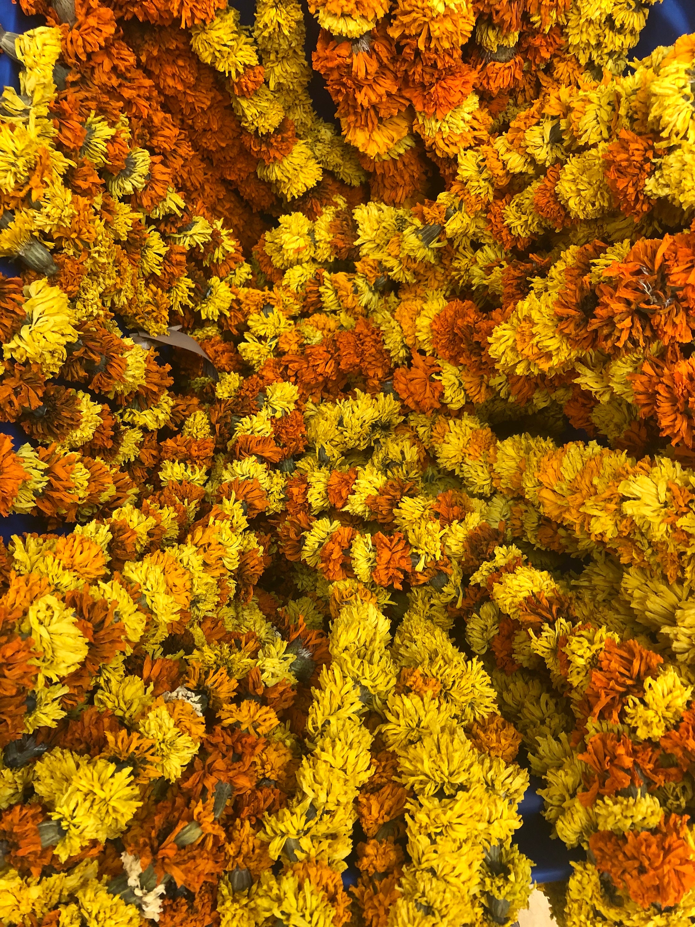 Marigold Garlands DRIED Real Flowers Real Dried Flower Garland - Etsy