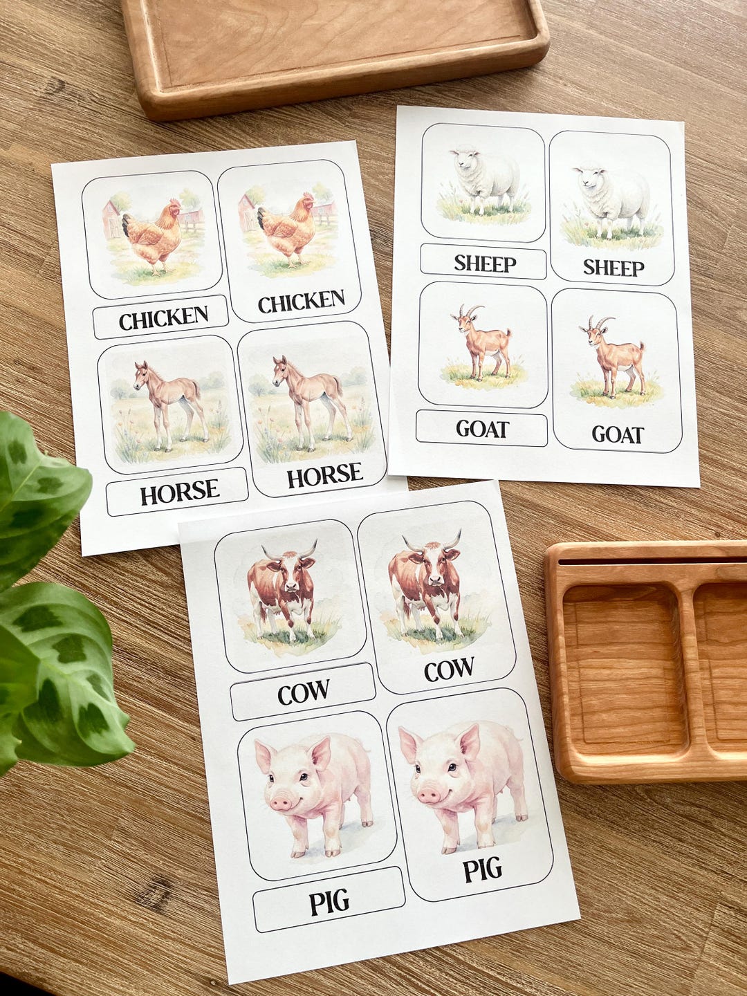 Farm Animal 3 Part Nomenclature Cards | Printable PDF | Digital ...