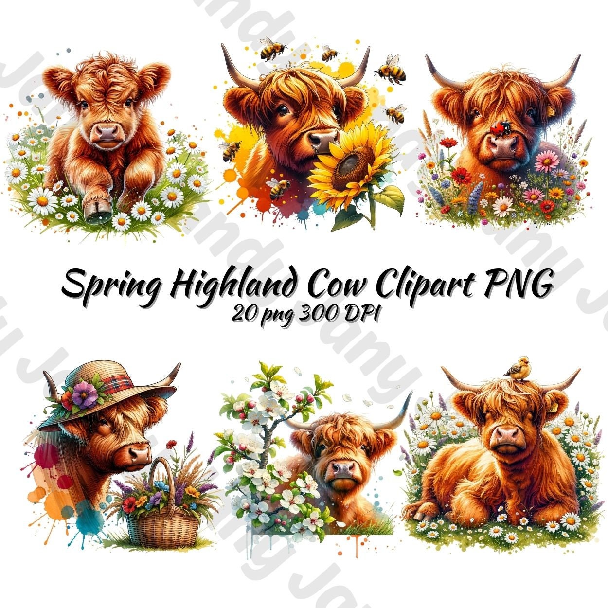 Watercolor Spring Highland Cow Clipart, 20 PNG Print Clipart, Highland ...