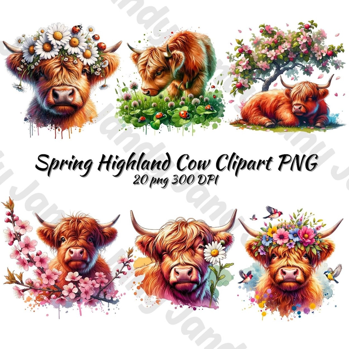 Watercolor Spring Highland Cow Clipart, 20 PNG Print Clipart, Highland ...
