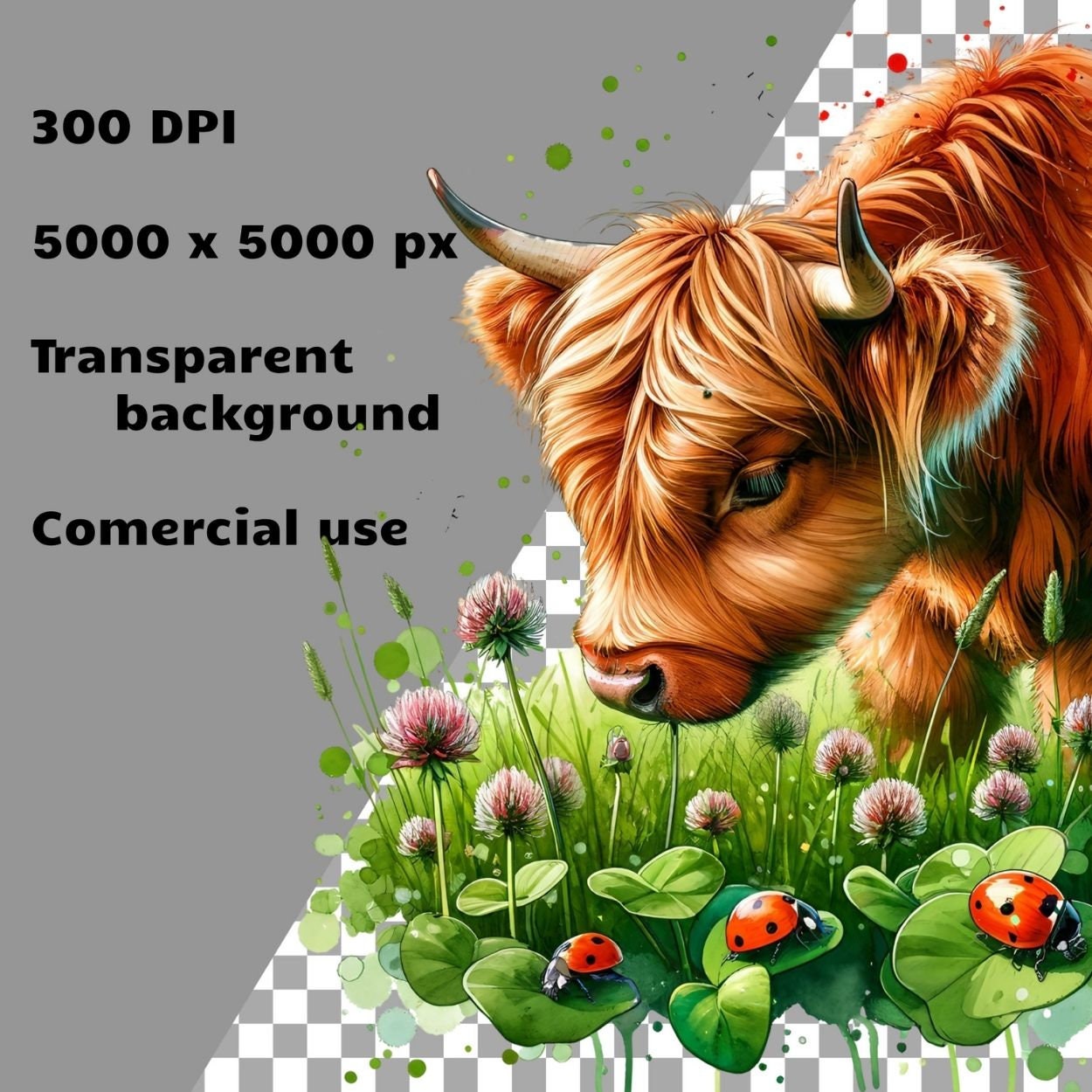 Watercolor Spring Highland Cow Clipart, 20 PNG Print Clipart, Highland ...