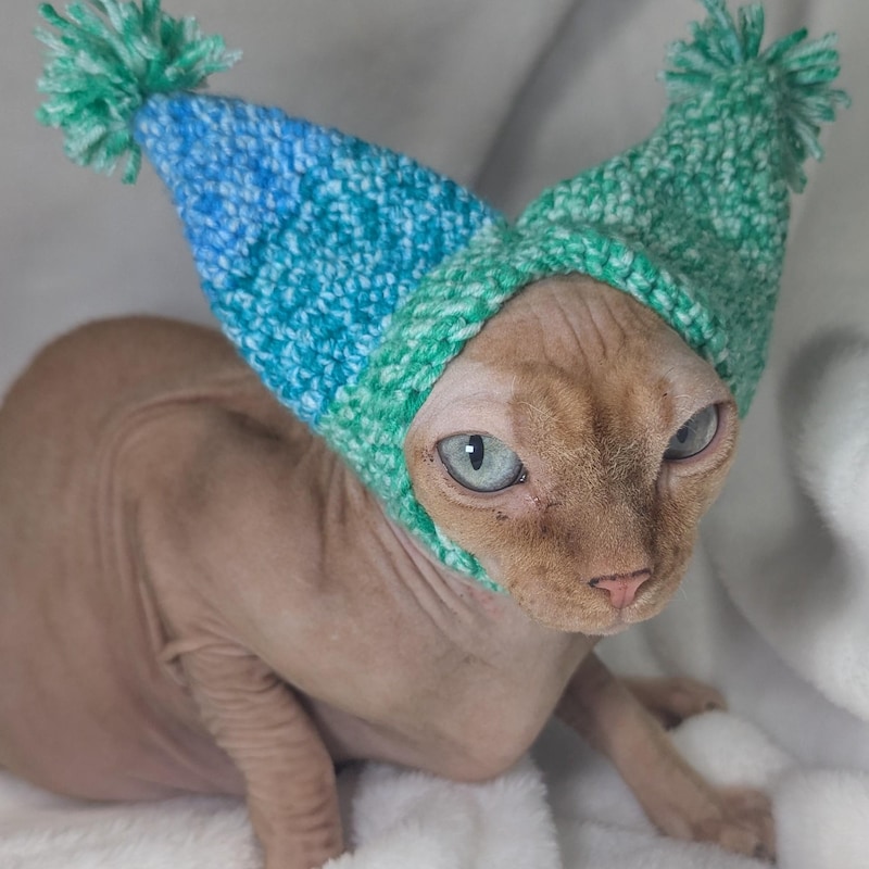 Cat Ear Hats - Etsy