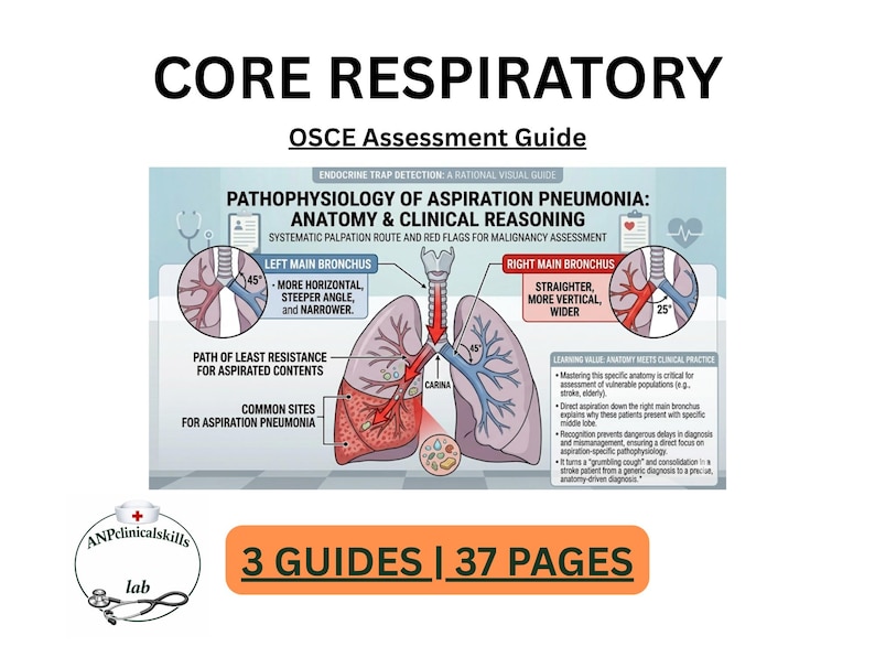 Core Respiratory Assessment OSCE Bundle | Respiratory, Cough ...
