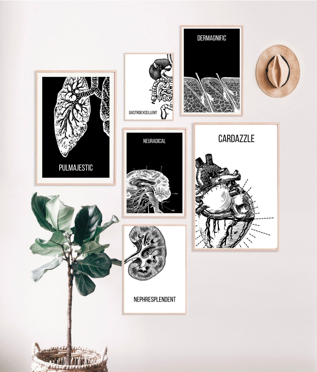 Doctors Office Wall Art Gallery Set of 6, Medical Office Art, Anatomy ...