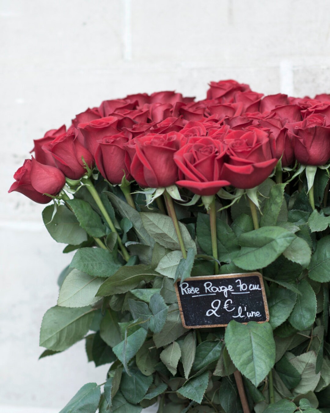 Paris Flower Photography - Red Roses, Paris Fine Art Photograph, Large ...