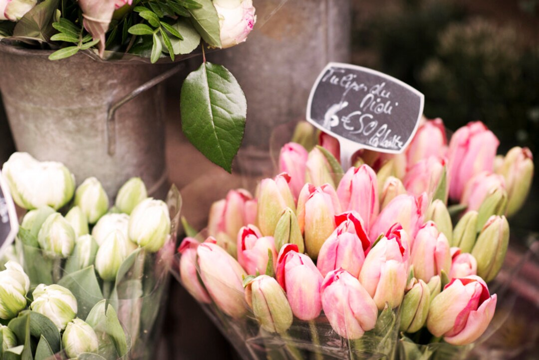 Paris Spring Photography - Market Tulips, Paris Kitchen Decor, French ...
