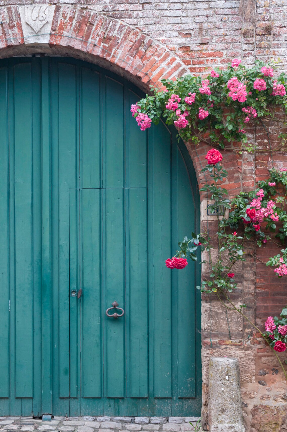 French Country Roses Collection - France Flowers, French Fine Art ...