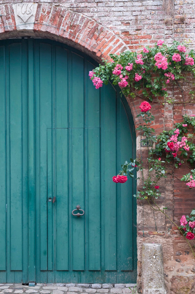 French Country Roses Collection - France Flowers, French Fine Art ...