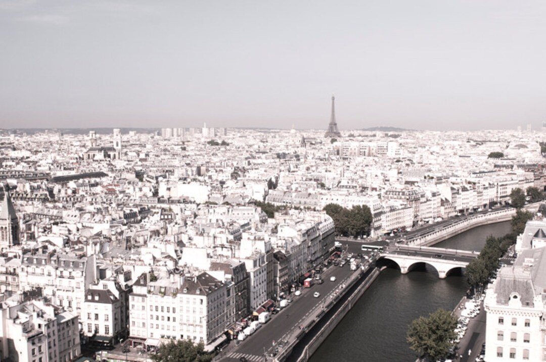 Paris Cityscape Photography - View From Notre Dame, Travel Photo, Fine ...