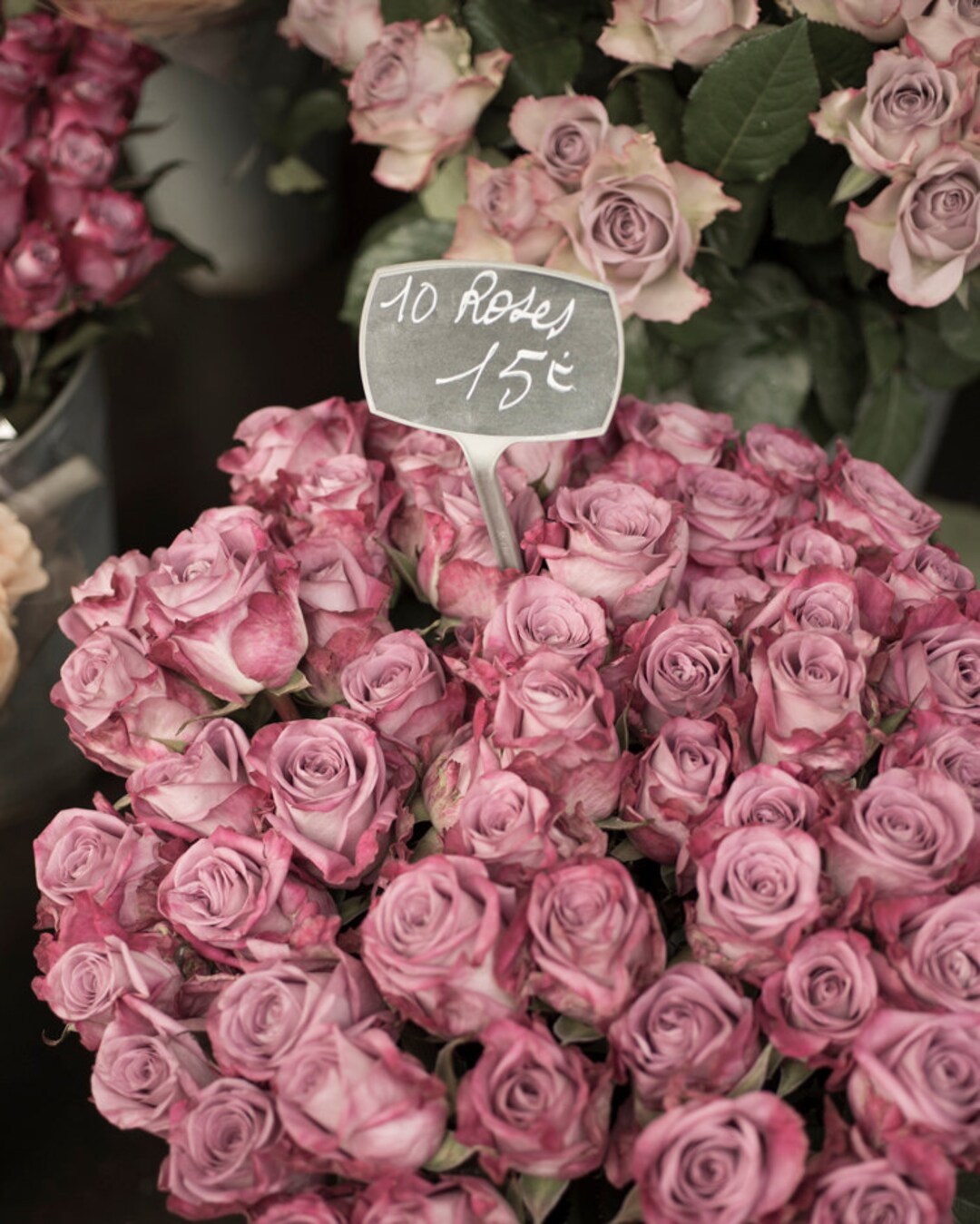 Paris Roses Photography - Faded Roses at a Paris Market, French Home ...