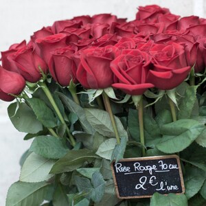 Paris Flower Photography - Red Roses, Paris Fine Art Photograph, Large ...