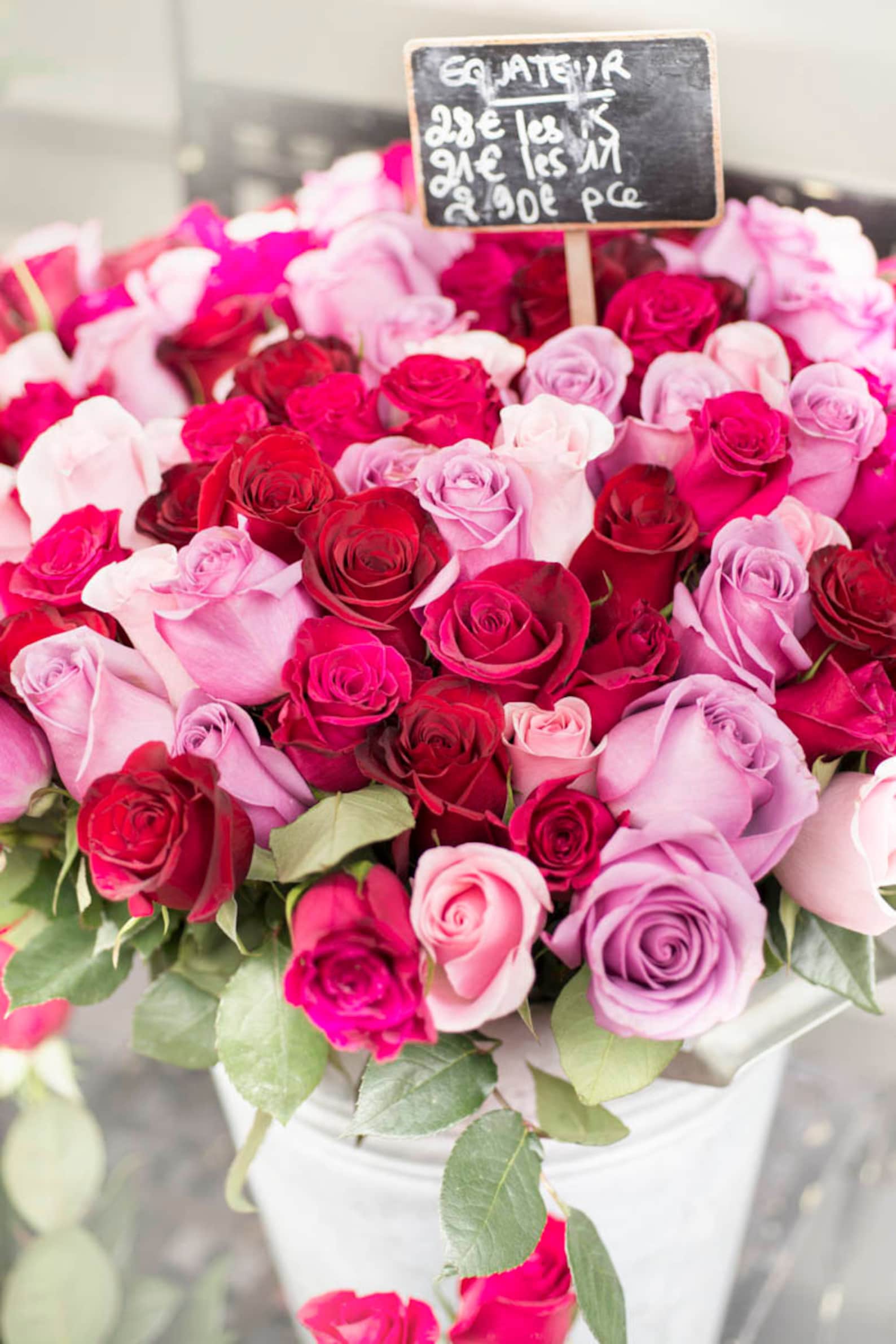 Paris Valentine Photography - Red and Pink Roses, Paris Fine Art ...
