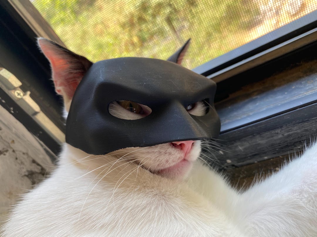 Cat Bat Cosplay Hat - LARGE - Cute Bat Wing Costume for Cats - 3D ...