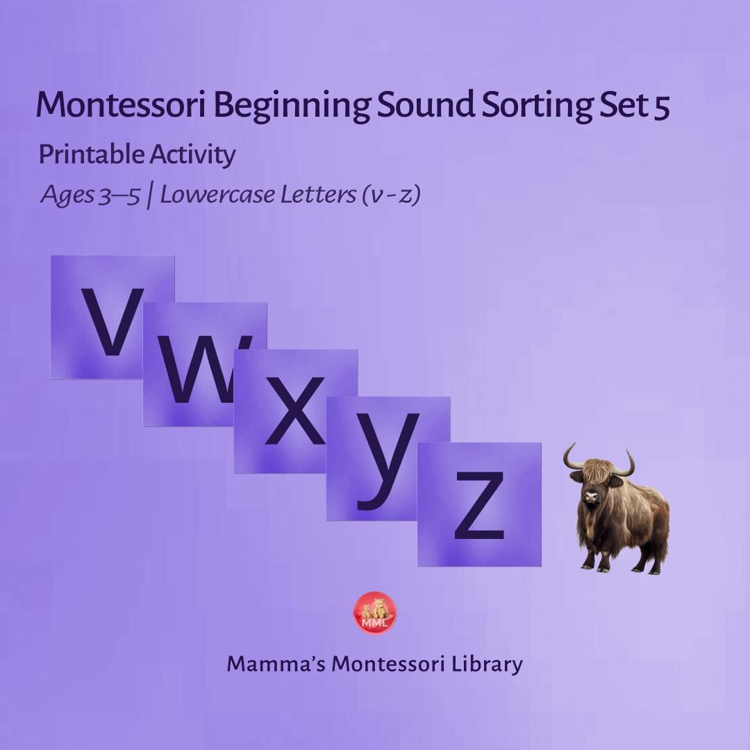Montessori Beginning Sound Sorting – Set 5 (v–z) | Initial Sound ...