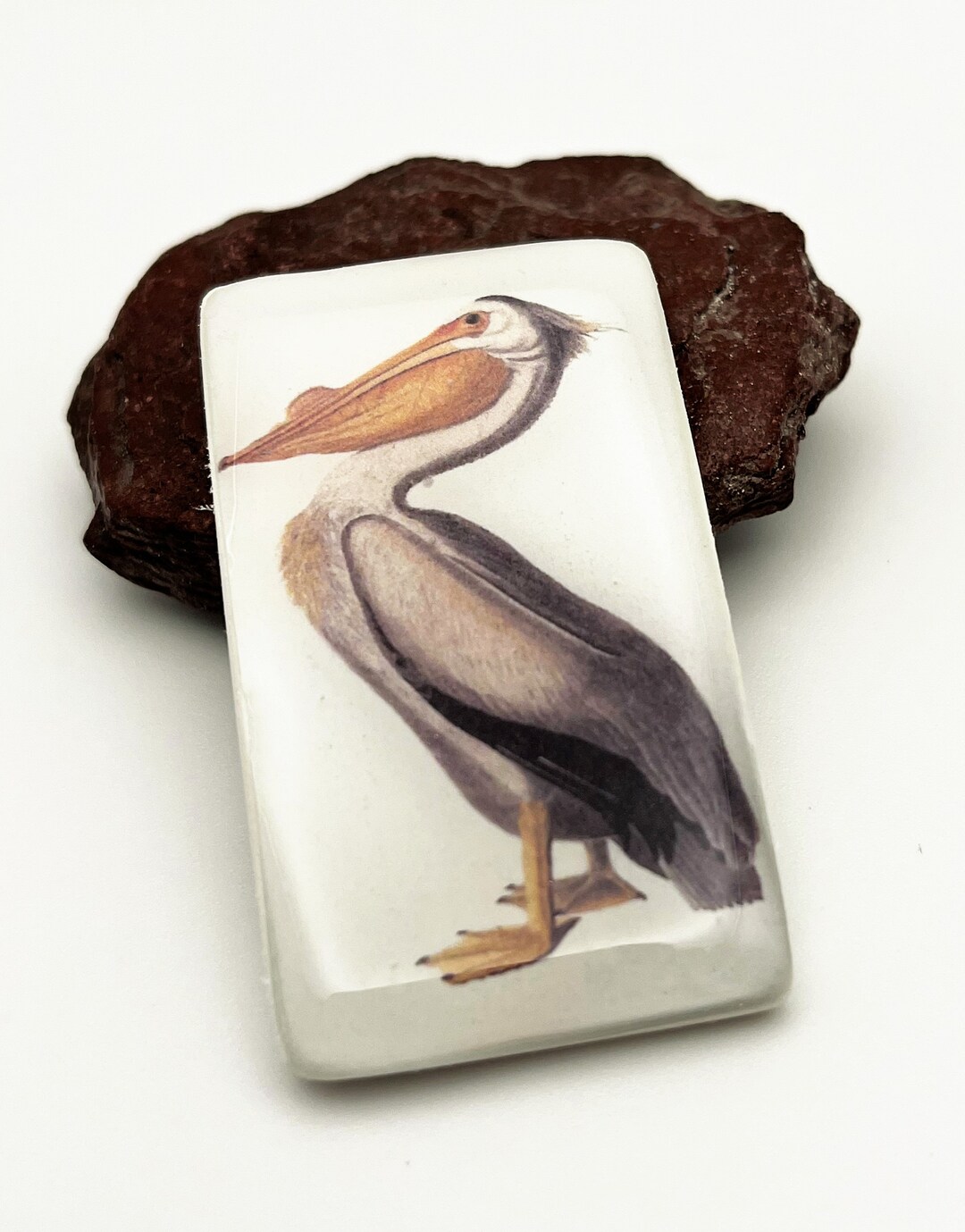 Studiostjames 1.25x2 Inch Clay Resin Cabochon-pelican-brown White-pa ...