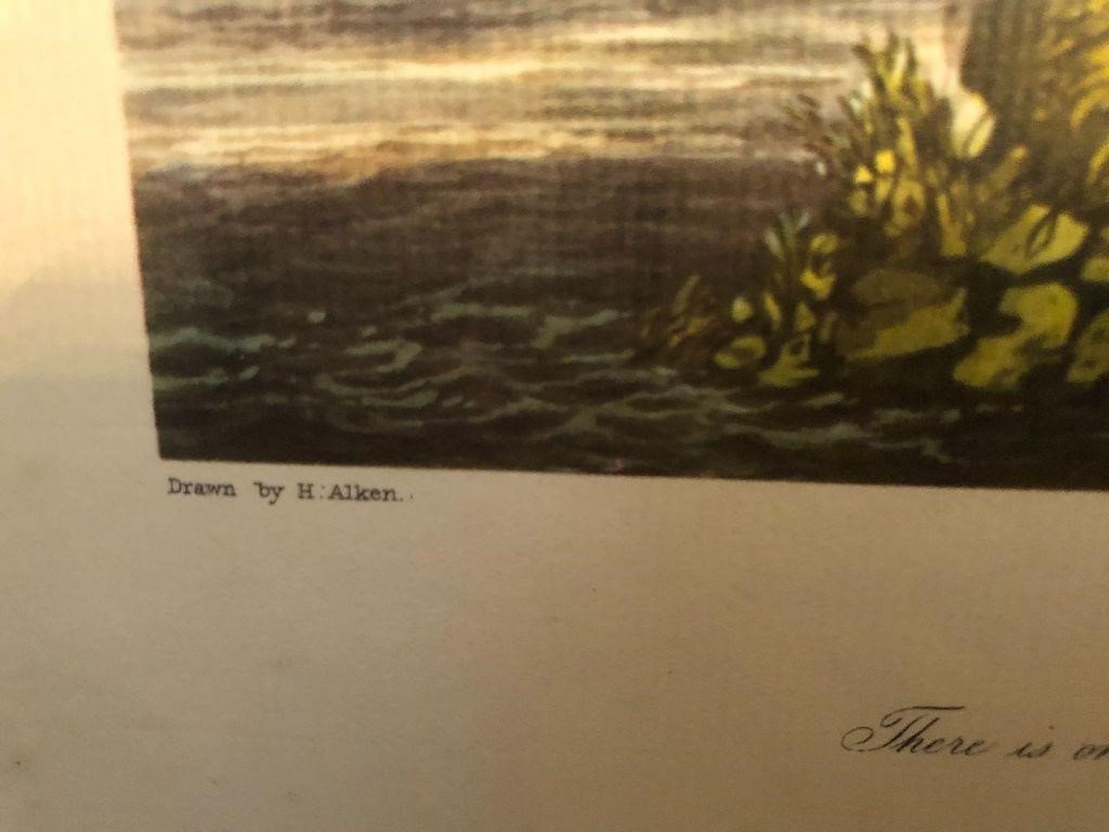 Etching by H. Alken and Engraved by J. Harris Cheshire Hunt - Etsy