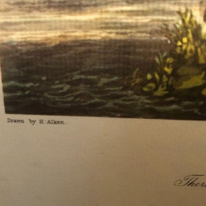 Etching by H. Alken and Engraved by J. Harris Cheshire Hunt - Etsy