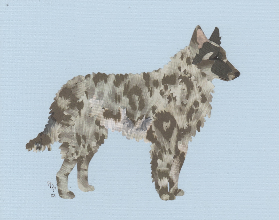 Mudi, Herding Dog, Hungarian Mudi - Etsy