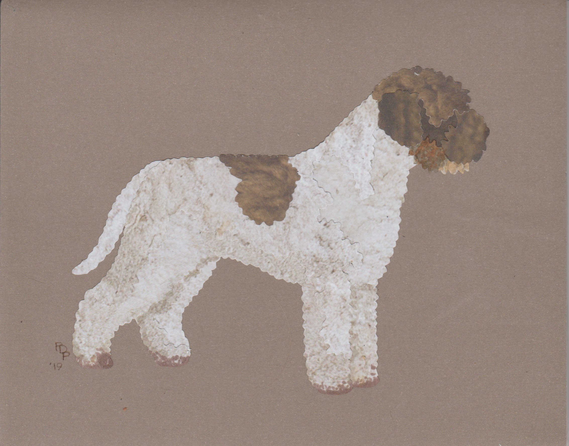 Lagotto Romagnolo Handmade Original Cut Paper Collage Dog Art - Etsy