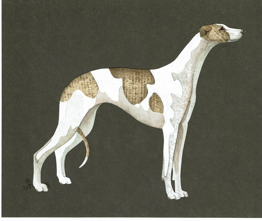 Greyhound Handmade Original Cut Paper Collage Dog Art - Etsy