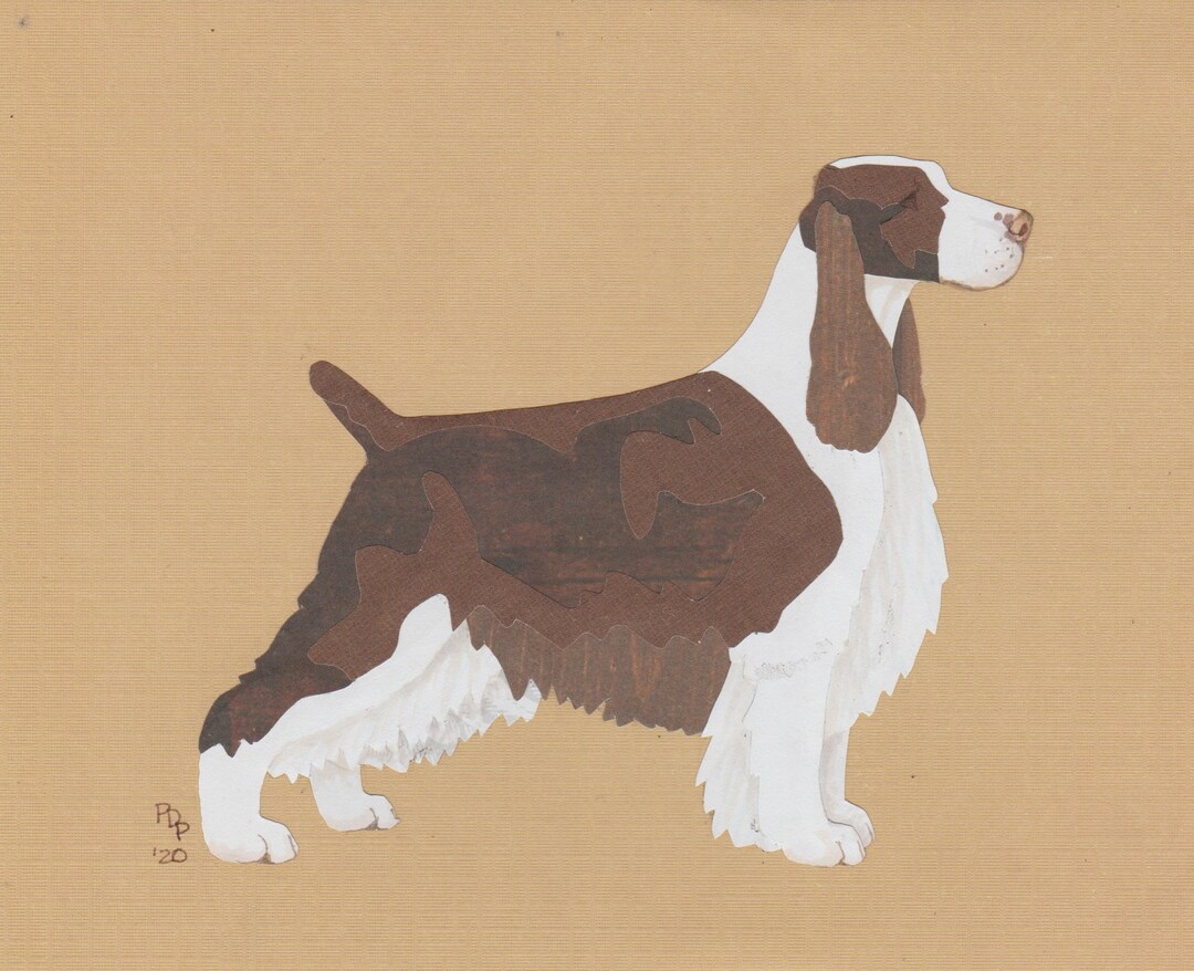 English Springer Spaniel Handmade Original Cut Paper Collage Dog Art - Etsy