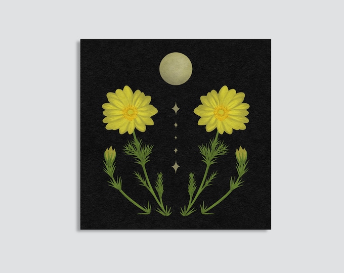 Celestial Poppy Flowers Poster Print Floral Poppies Wall Art Full Moon ...