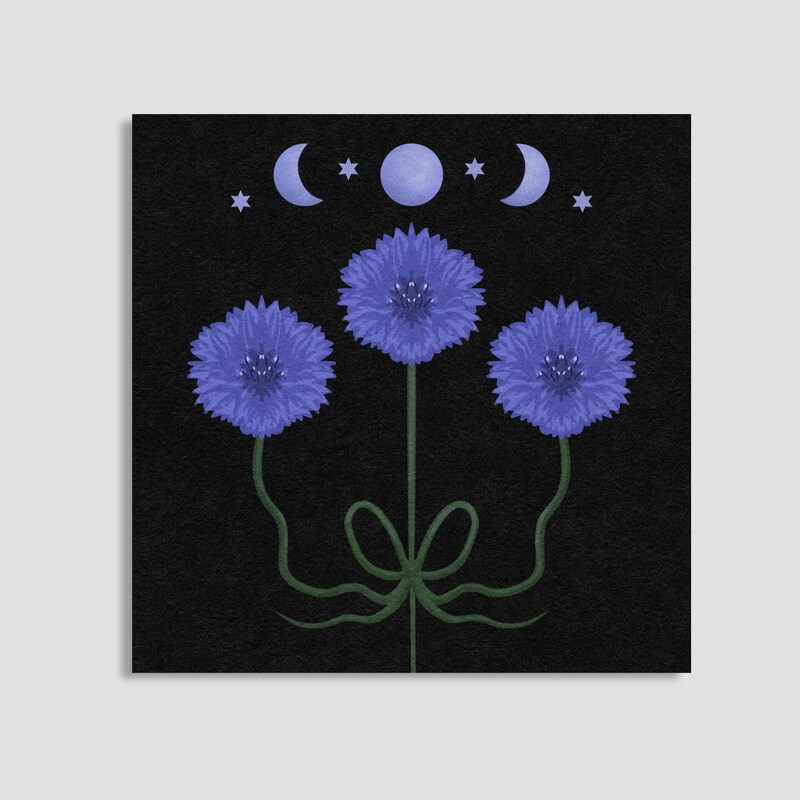 Bachelor Buttons - Etsy