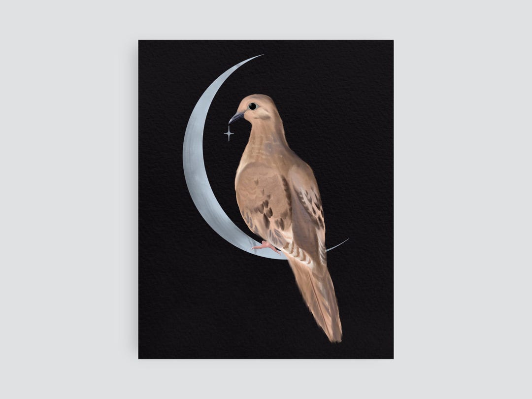 Mourning Dove Bird Art Print, Moon and Stars Nature Folk Art, Dark ...