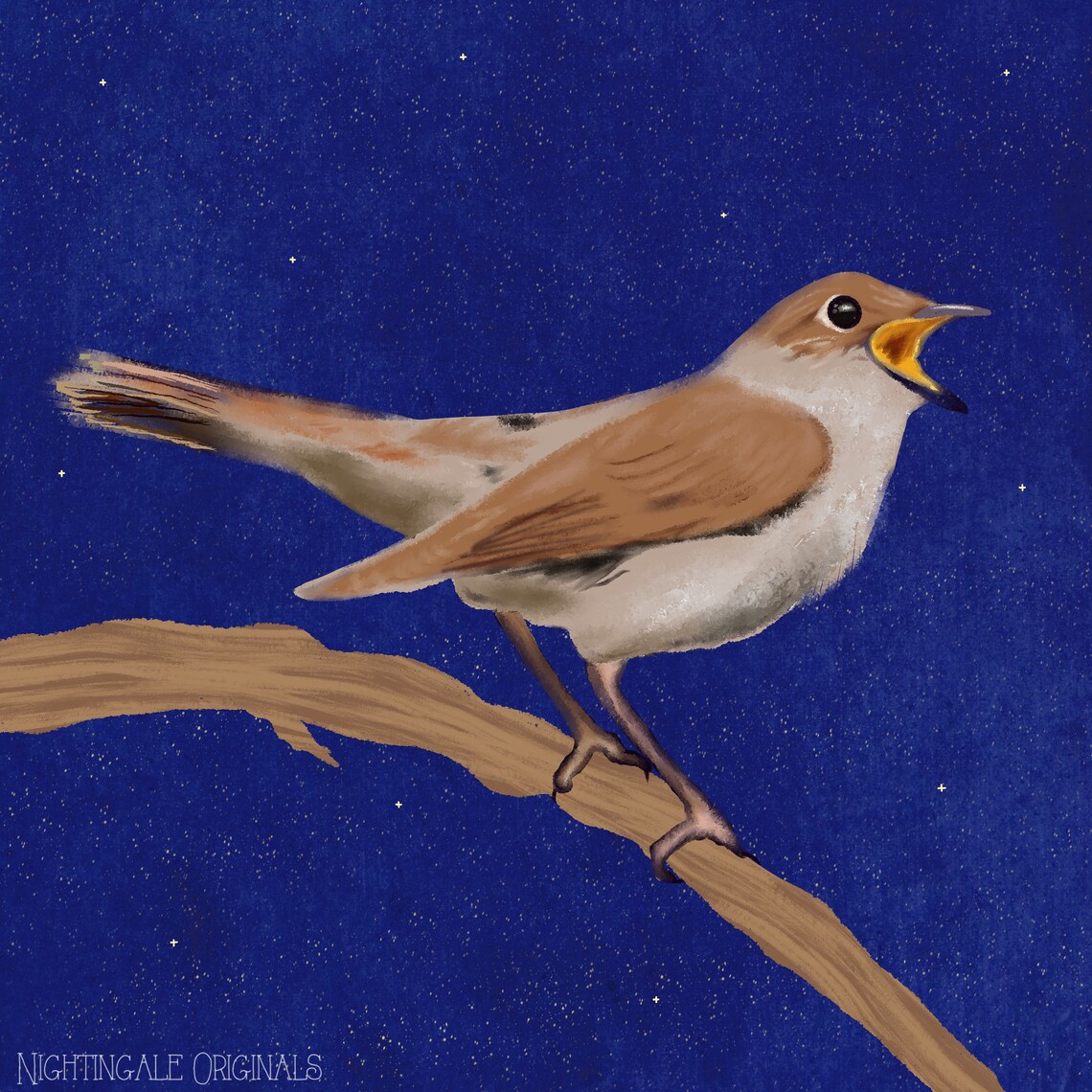 Nightingale Art Print / Bird Art Drawing/ Digital Painting / | Etsy
