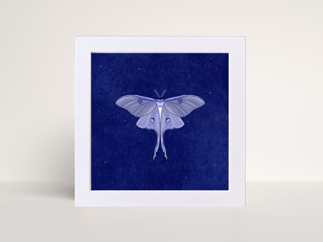 Luna Moth Art Print Starry Night Sky Print Navy Blue Wall - Etsy