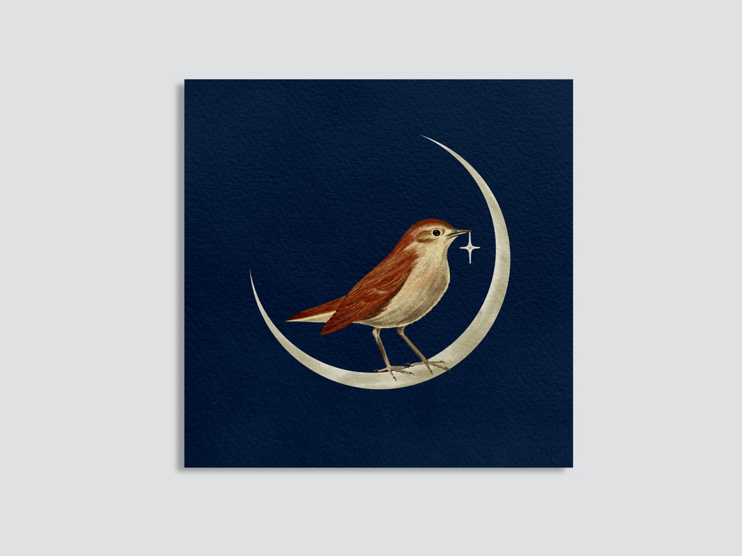 Nightingale Art Print, Bird Star and Crescent Moon Nature Folk Art ...