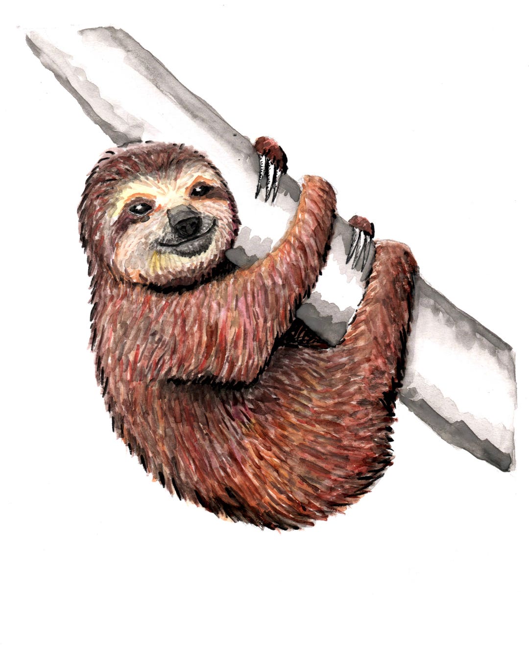 The Sloth Phish Art Print - Etsy