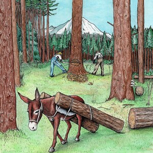 Phish Seattle 2023 Phan Art Print Phish Poster Phish Art - Etsy