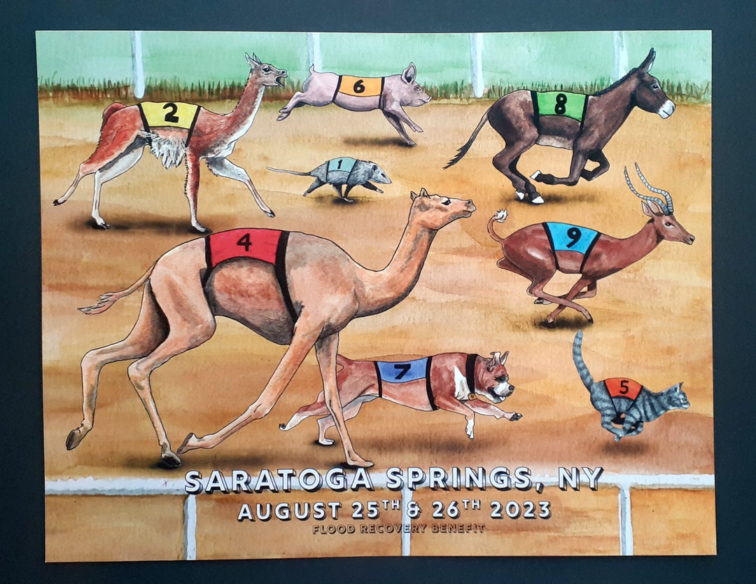 Phish SPAC 2023 Phan Art Print Phish Poster Phish Art Phish Print - Etsy