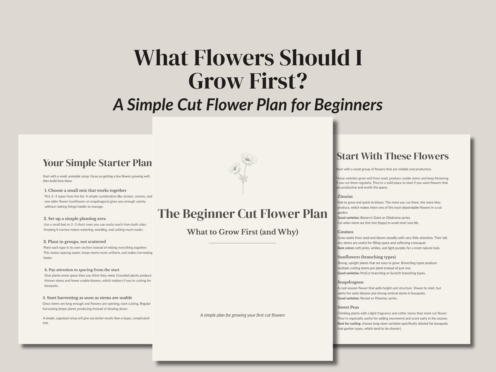 Cut Flower Plan for Beginners — How to Grow Cut Flowers at Home ...